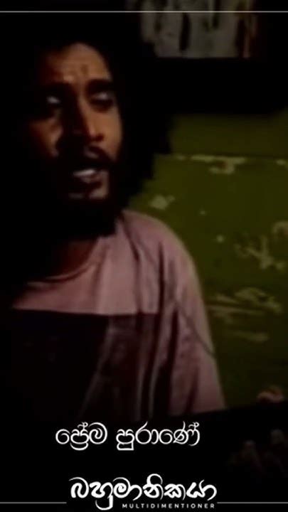 විකසිත පෙම් පොකුරු පියුම් Youtube