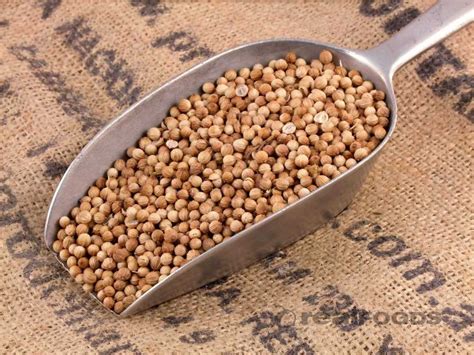 Whole Coriander Seeds