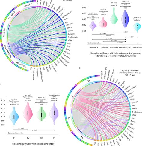 Pathway Enrichment Analysis Per Molecular Subtype And Tumor Stage A Download Scientific