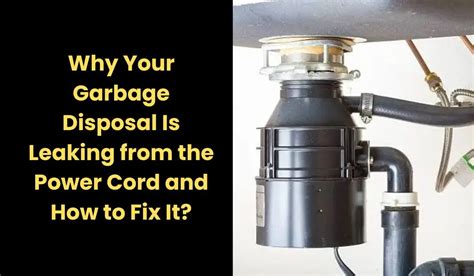 Why Your Garbage Disposal Leaking From The Power Cord