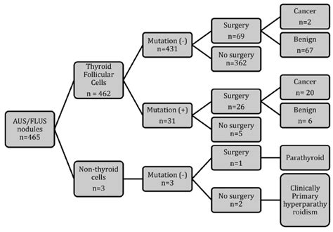 Schematic Representation Of Study Flow And Overall Performance Of