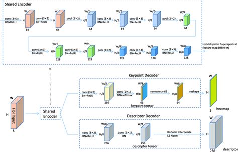 Topology Of The Hyperspectral Superpoint Network Hsspn The Hsspn Is Download Scientific
