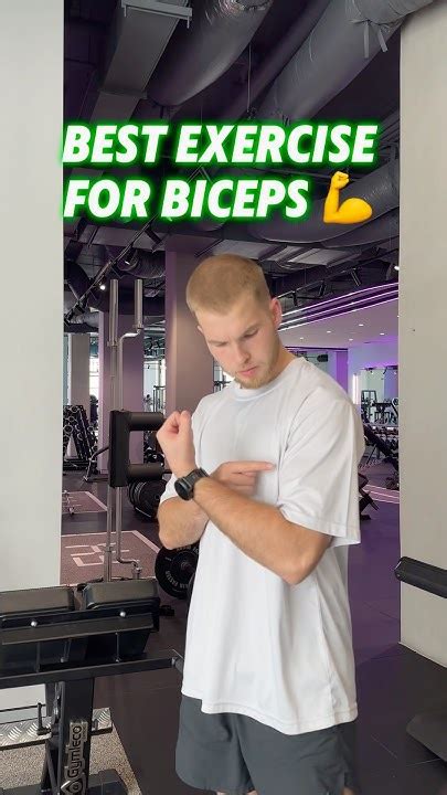 Best Bicep Exercises Biceps Bicepsworkout Bayesiancurls