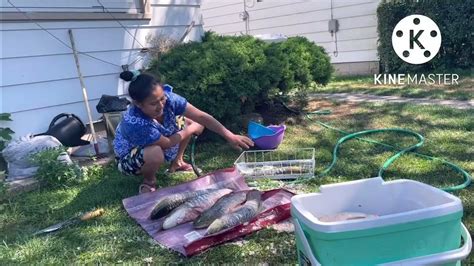 09 06 22 ပှၤမၤညၣ်ဖိမ့ဘၣ်သးမၣ်လိာ်ညၣ်အုာ်မာ်လိာ်သ့လံ🤣🤣 Youtube