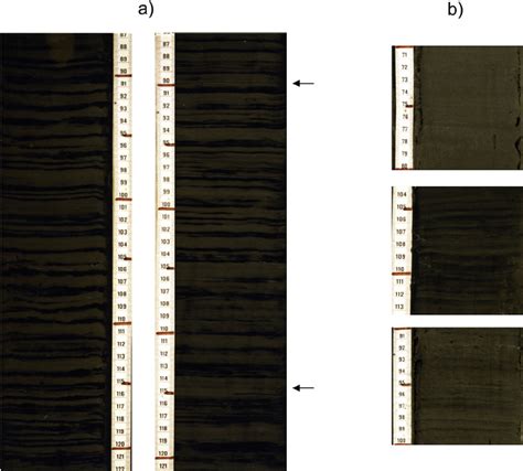 Photograph A Details Of Lamination From The Late Pleistocene Part Of Download Scientific