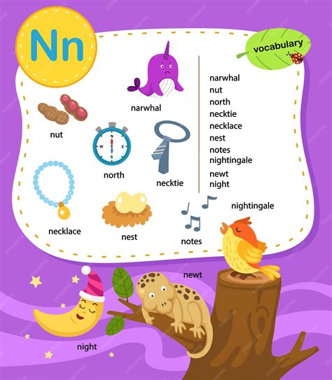 Premium Vector Alphabet Letter N Education Vocabulary Illustration Vector