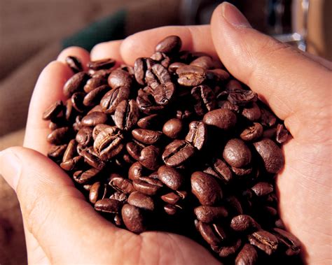 Java Coffee Wallpaper 22611188 Fanpop