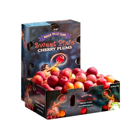 Sweet Pixie Plum Cherry Plum Wandin Walley Farms Plum Skcfruits