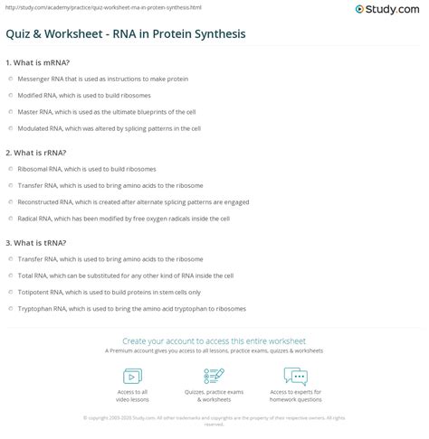 Quiz And Worksheet Rna In Protein Synthesis