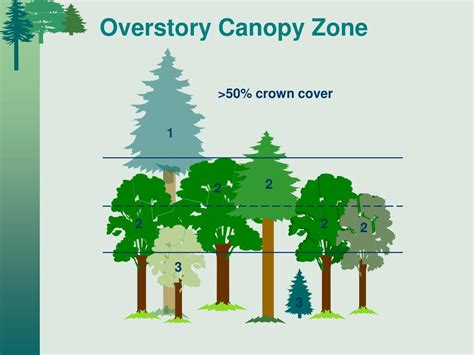 Ppt Fia Crown Classification Powerpoint Presentation Free Download