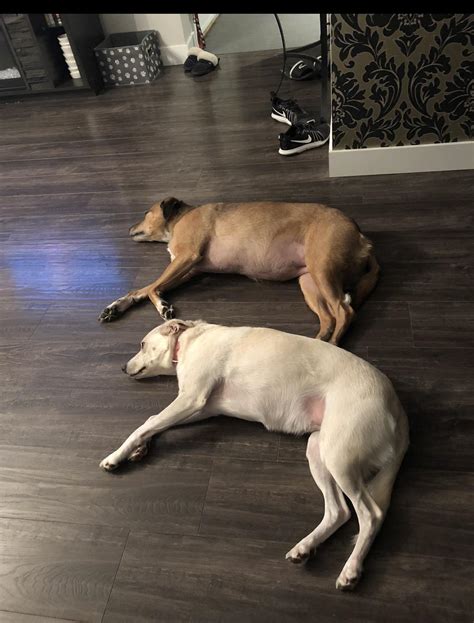 Same Stats Different Graphs Rdataisbeautiful