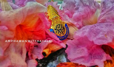 กลุ่มส กลุ่มสาระสังคมศึกษา โรงเรียนถาวรานุกูล สมุทรสงคราม