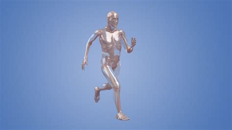 Human Body Dissection Running X Ray Human Body Bone 3d Model