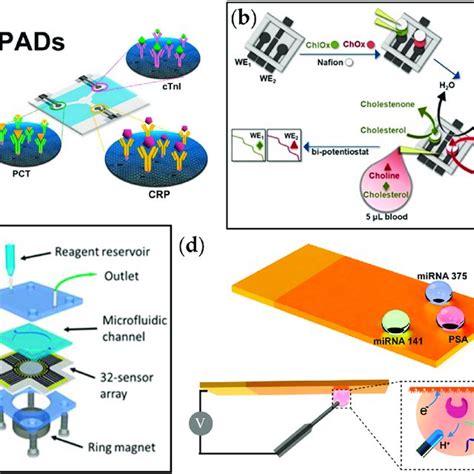 Optical Sensors For Multiplexed Detection Of Biomarkers For Metabolic Download Scientific