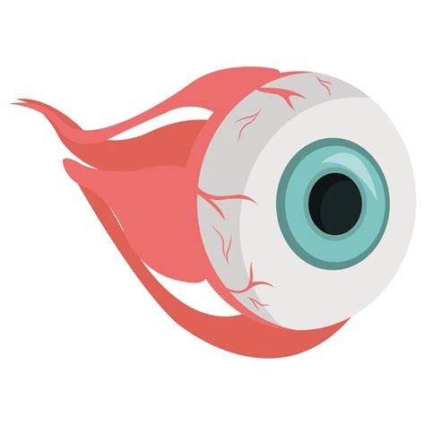 Premium Vector Eye Vector
