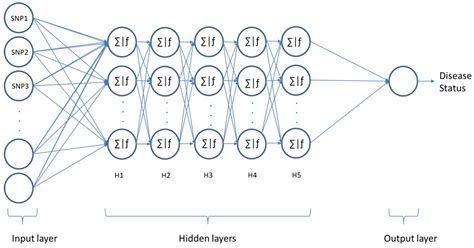 Deep Learning Framework For Complex Disease Risk Prediction Using Genomic Variations