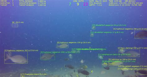 Up Scientists Invent Semi Automated Fish Monitoring Device Up Alumni