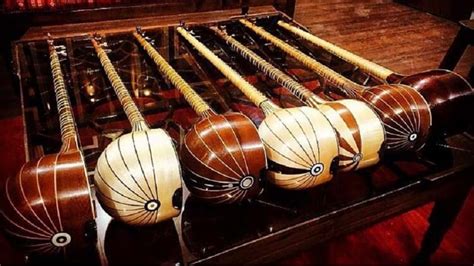 Setar Instrument What Iran Is Known For