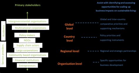 Application Levels Of The Scaling Up Innovations Framework Download