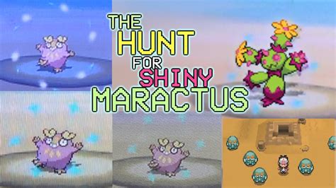 646 The Hunt For Shiny Maractus 4 Live Shiny Pokemon In Gen V Black