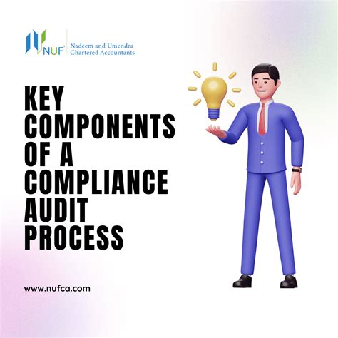 Key Components Of A Compliance Audit Process Nufca