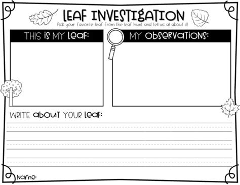 Fall Leaf Hunt Activities Sort Graph Art Writing Science Math More