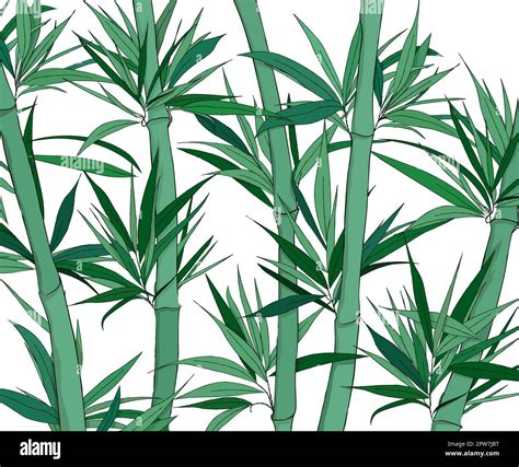 Forest Wetland Stock Vector Images Alamy