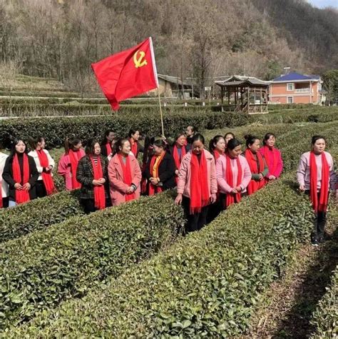 她的节日这样过 我县庆三八活动精彩纷呈 康县 妇女节 表彰