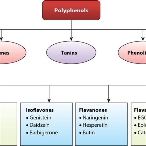 Classification Of Polyphenols And Flavonoids With Selected Examples Download Scientific Diagram