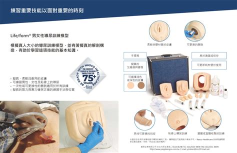 男女性導尿訓練模型 營昇企業有限公司