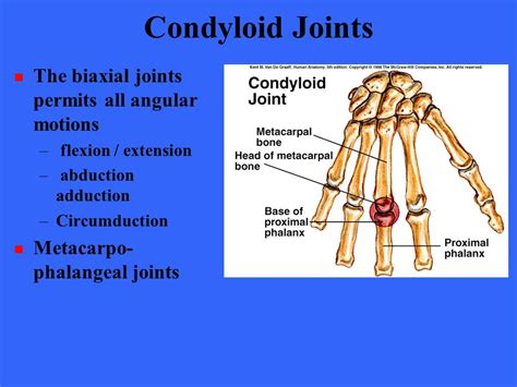 Joints Chapter Ppt Video Online Download