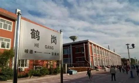 15万在鹤岗买房“躺不平”，不死心的年轻人，又盯上了这些地方 36氪