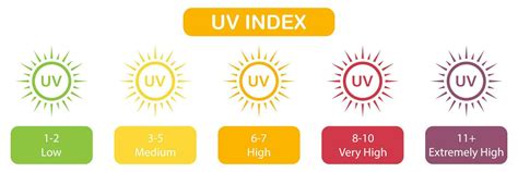 Spf Label Sun Radiation Index Icons Set Skin Protection From Sunlight