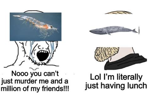 The Best Krill Memes Memedroid