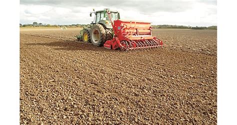 През февруари при първа възможност трябва да започне подхранването на зимните житни с азотни