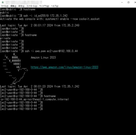 Awsとociを接続してみよう！ アシスト