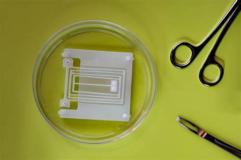 mit engineers create flexible skeletons for muscle powered robots