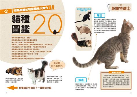 出版品資訊 貓咪的心情＆飼育學習指南 楓書坊文化出版社