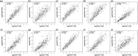 Correlation Analysis Of 10 Hub Genes In Hcc With Cdk1 A Ccnb2 B