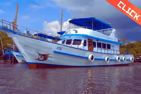 Krabi Travel And Tour One Day Tour Krabi From Krabi Krabi Island