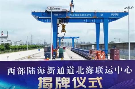 8位台籍博士到玉林師範學院任教 魅力廣西 Famousguangxi