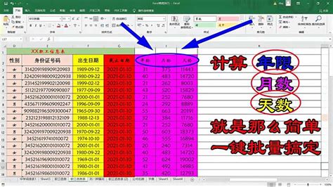 Excel计算日期的方法和技巧快速算出年龄月数天数 教育 资格考试 好看视频