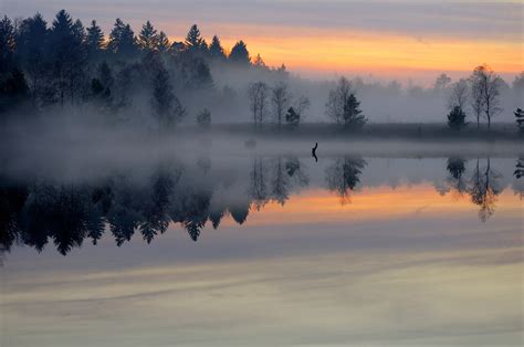 Misty Lake by Burtn on DeviantArt