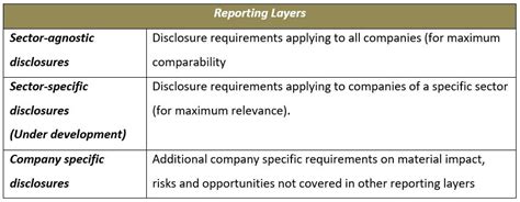 The Eu Sustainability Reporting Standards Esrs Svarmi
