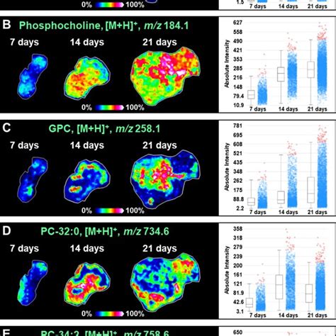 Schematic Illustrations For Spatially Resolved Visualization Of Download Scientific Diagram