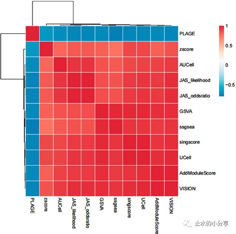 【综合测评】单细胞基因集打分方法 · Issue 3525 · Ixxmumpduty · Github