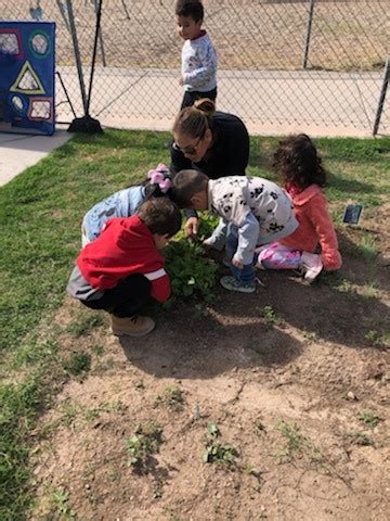 Rcoe Migrant Head Start Program El Centro Ca