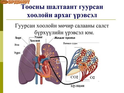 Уул уурхайн хөдөлмөр хамгаалал аюулгүй ажиллагаа Ppt