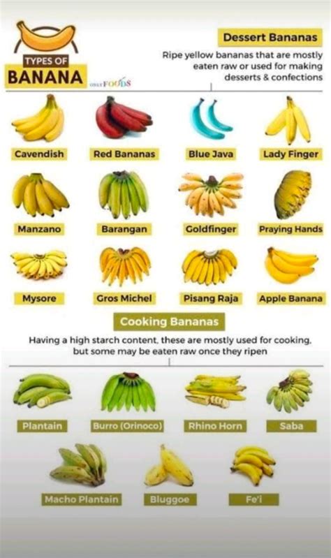 Types Of Banana Artofit