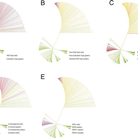 Cluster Analysis Based On Genetic Distance Using An UPGMA Tree A UPGMA Download Scientific